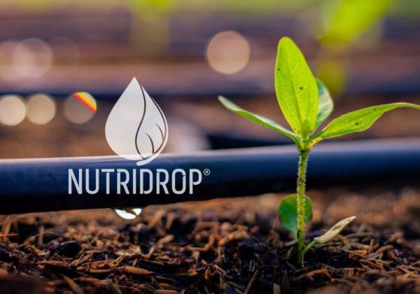 Phosphate Fertilizers - OCP North America