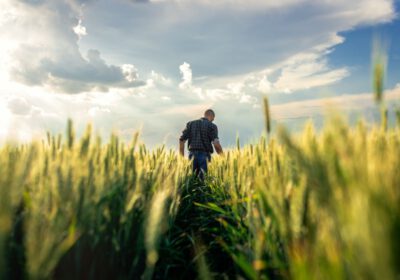 TerraTek - OCP North America